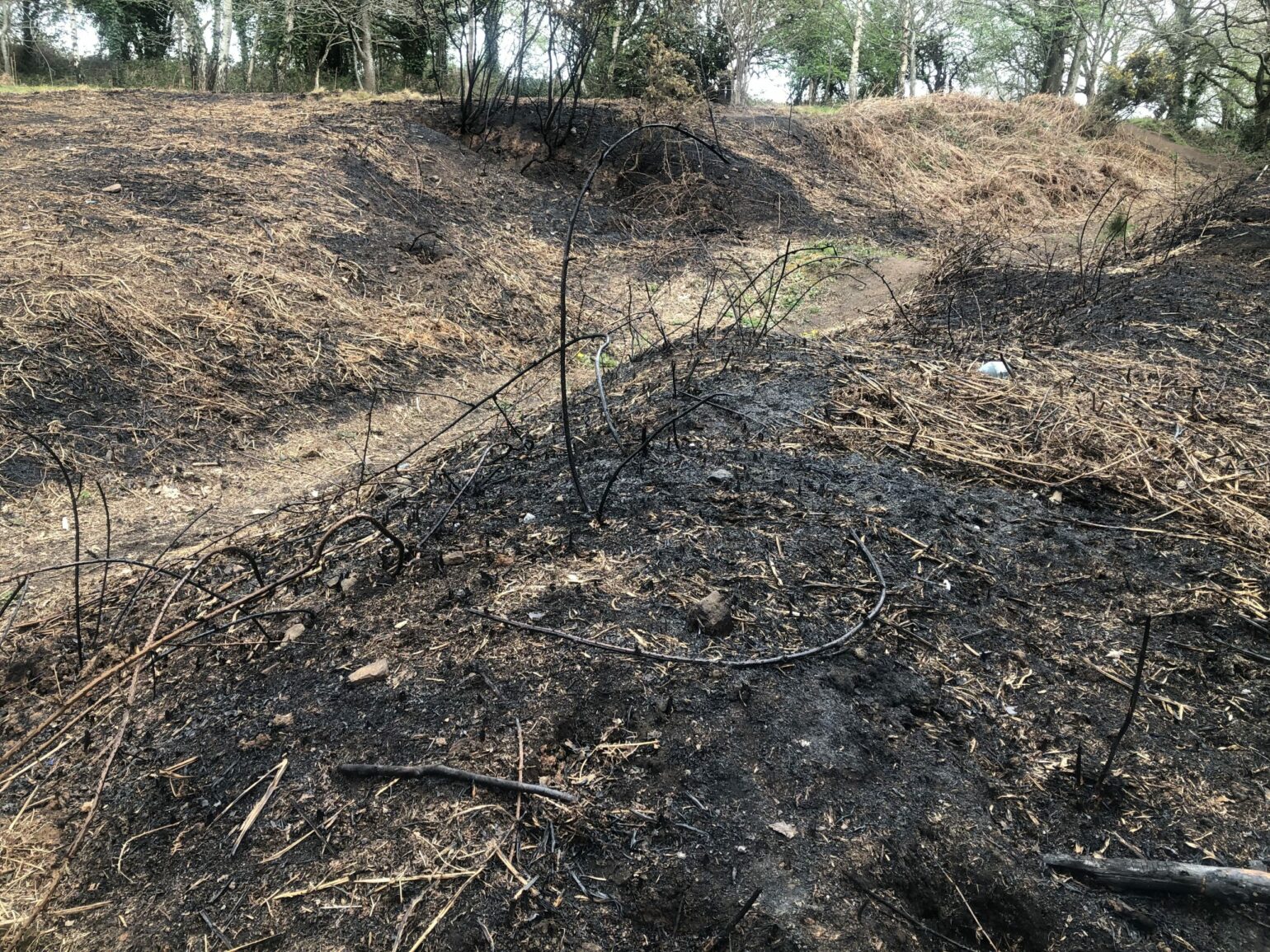 Fires started deliberately on Rodway Common | The Week In