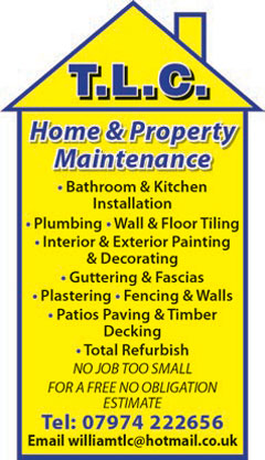 Service Directory | The Week In