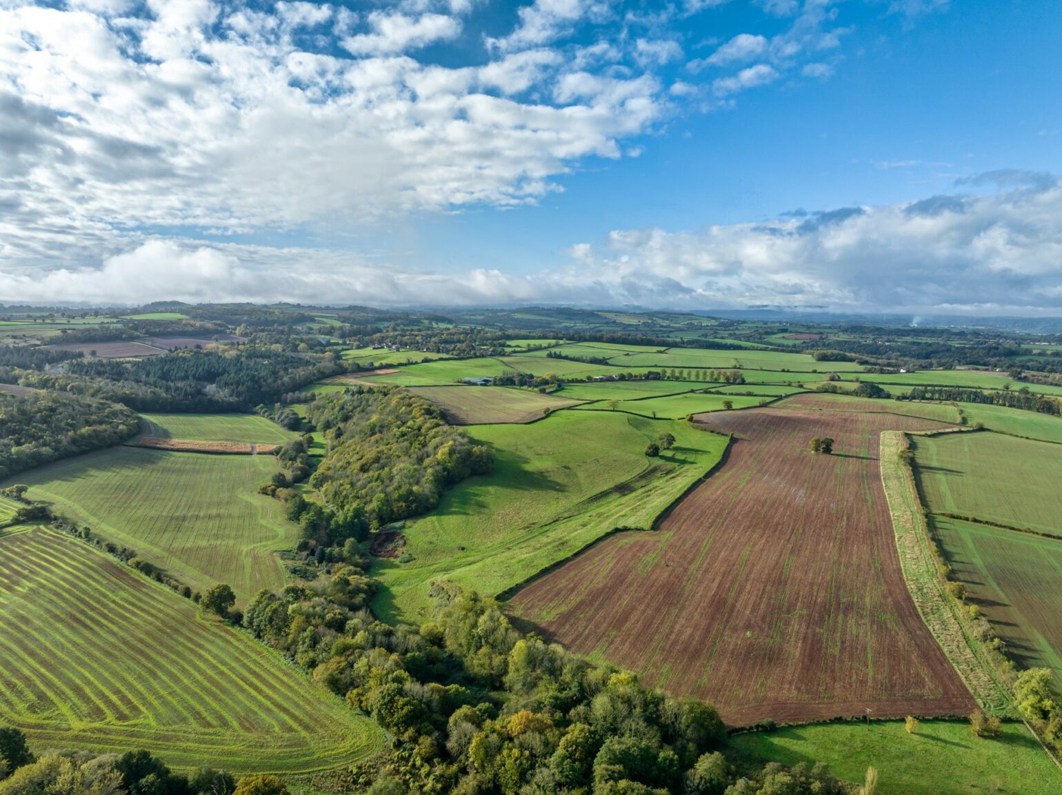 Charity has two weeks left to raise over £20k for new woodland near ...