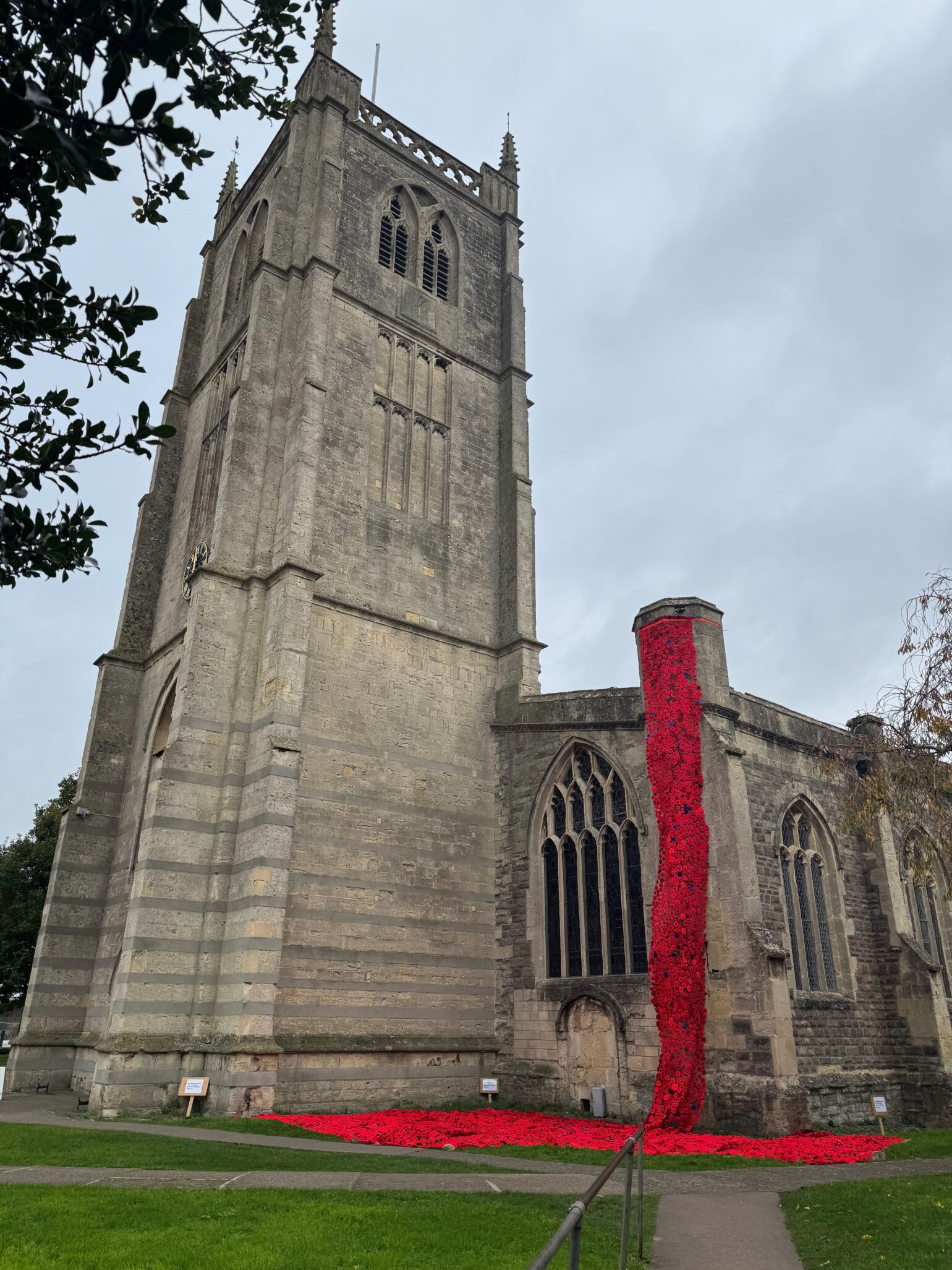 Stunning poppy cascade at Keynsham church | The Week In
