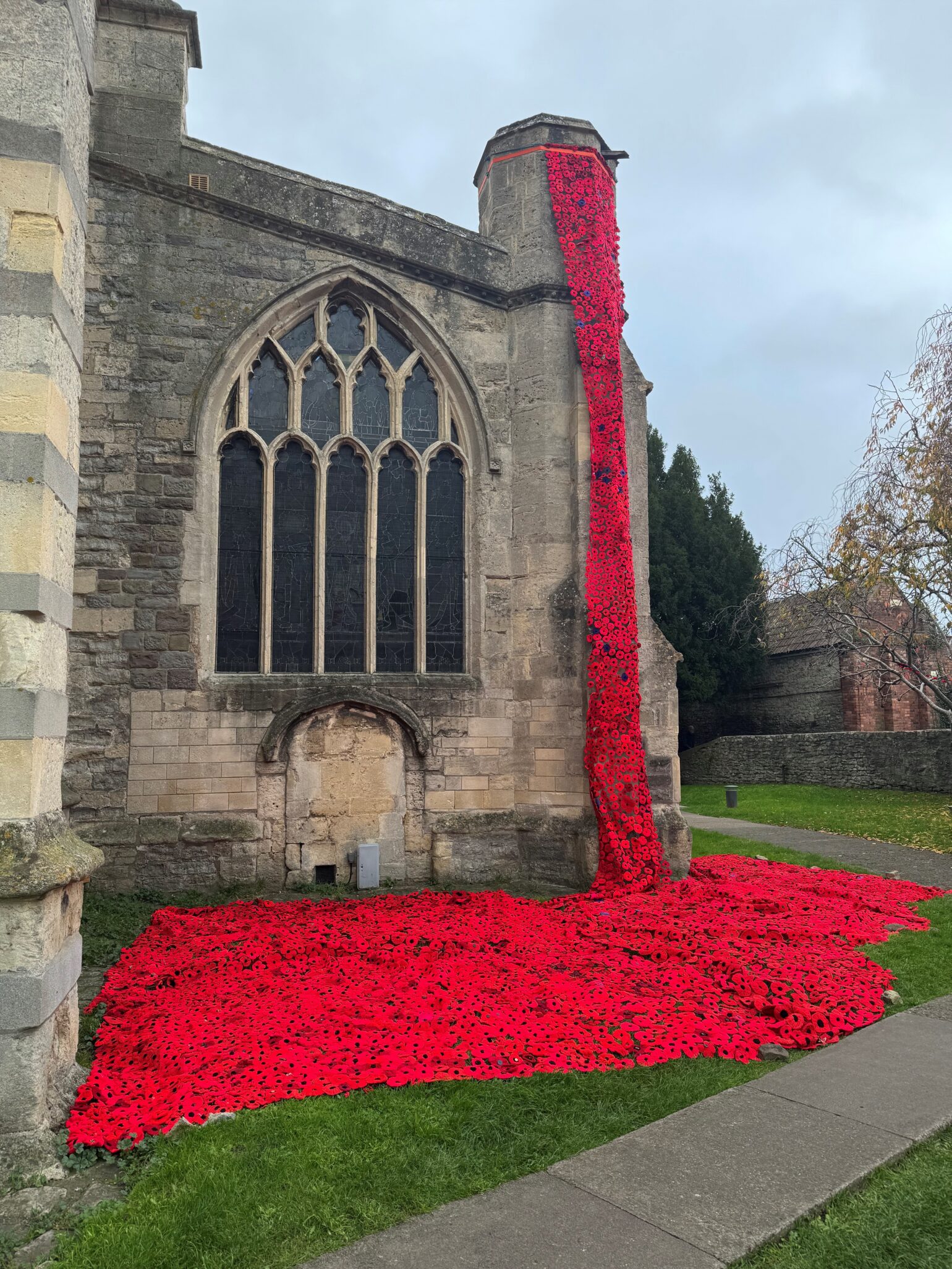 Stunning poppy cascade at Keynsham church | The Week In