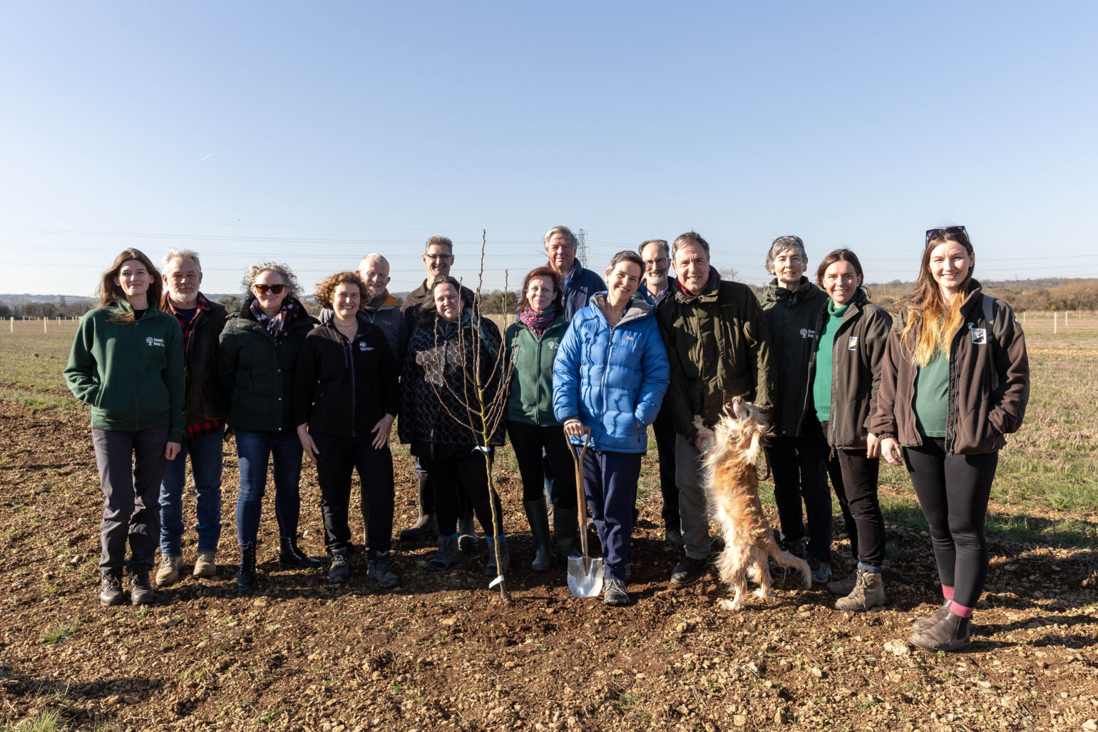 First National Forest in 30 years to be created in the West of England ...