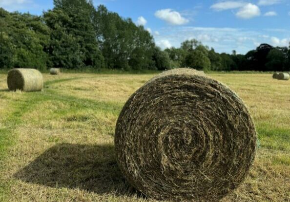 Emergency Services News | The Week In