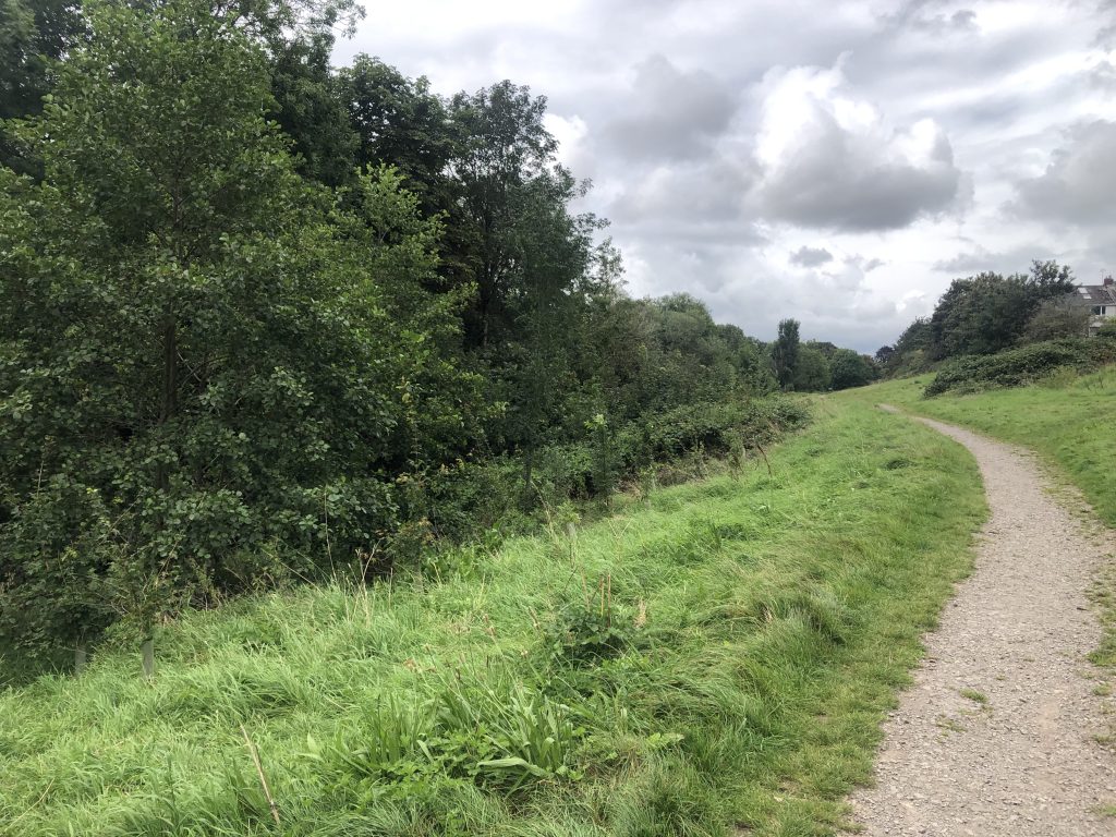 Proposed homes next to Siston Brook spark outpouring of objections ...