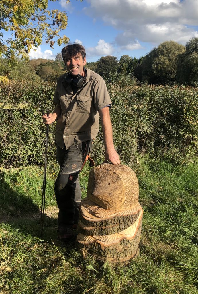 Park’s tree stumps being turned into works of art | The Week In