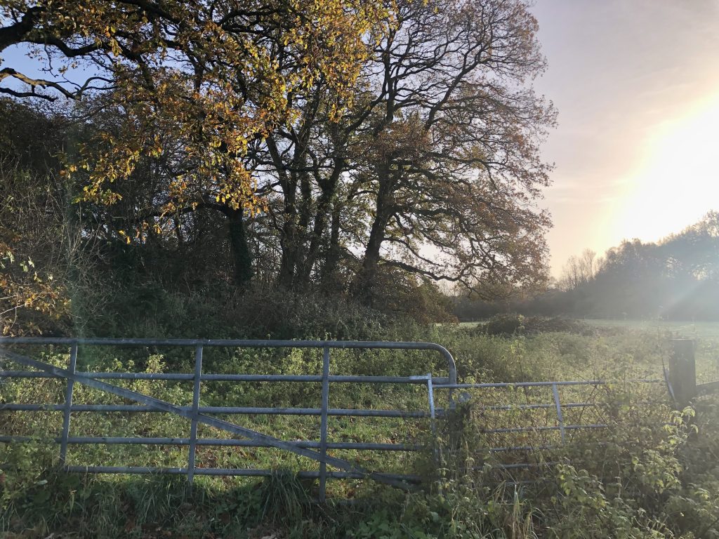 Many Green Belt sites face sacrifice to solve South Glos housing crisis ...